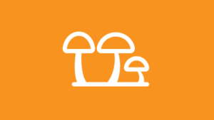 France Quiz: 10 Fun Questions You Might Get Wrong